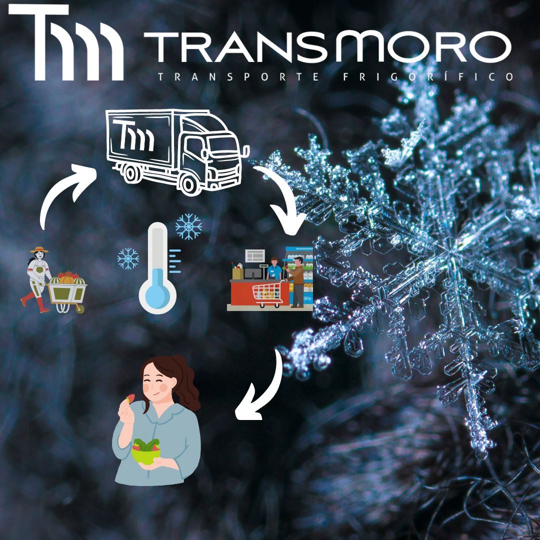 La importancia de la cadena de frío en el transporte de frutas - Transmoro